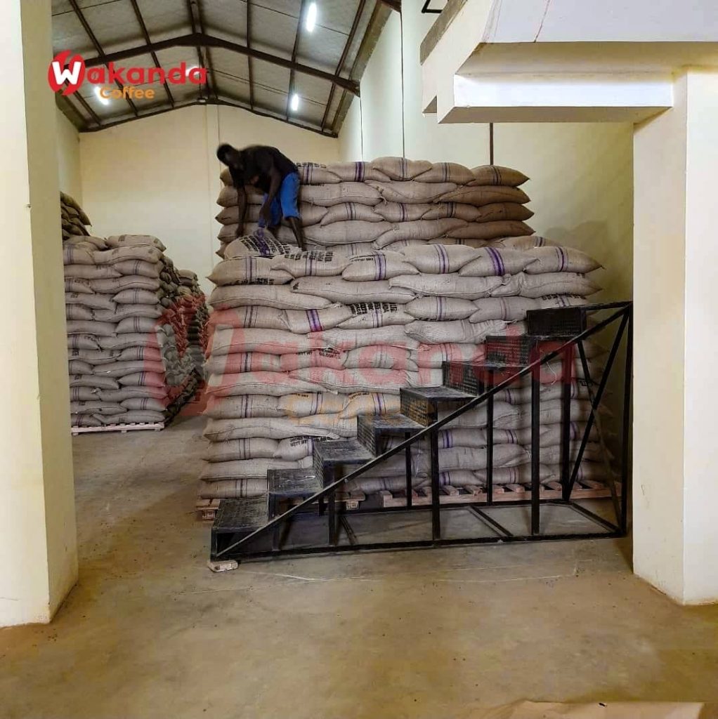 Direct Trade vs Fair Trade: What's Best for African Coffee Farmers ...