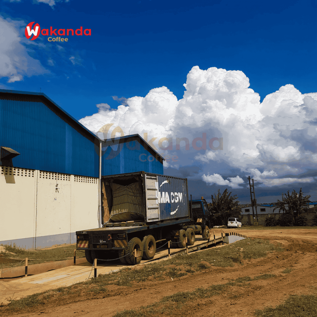 How Wakanda Builds Lasting Partnerships in the Coffee Industry ...